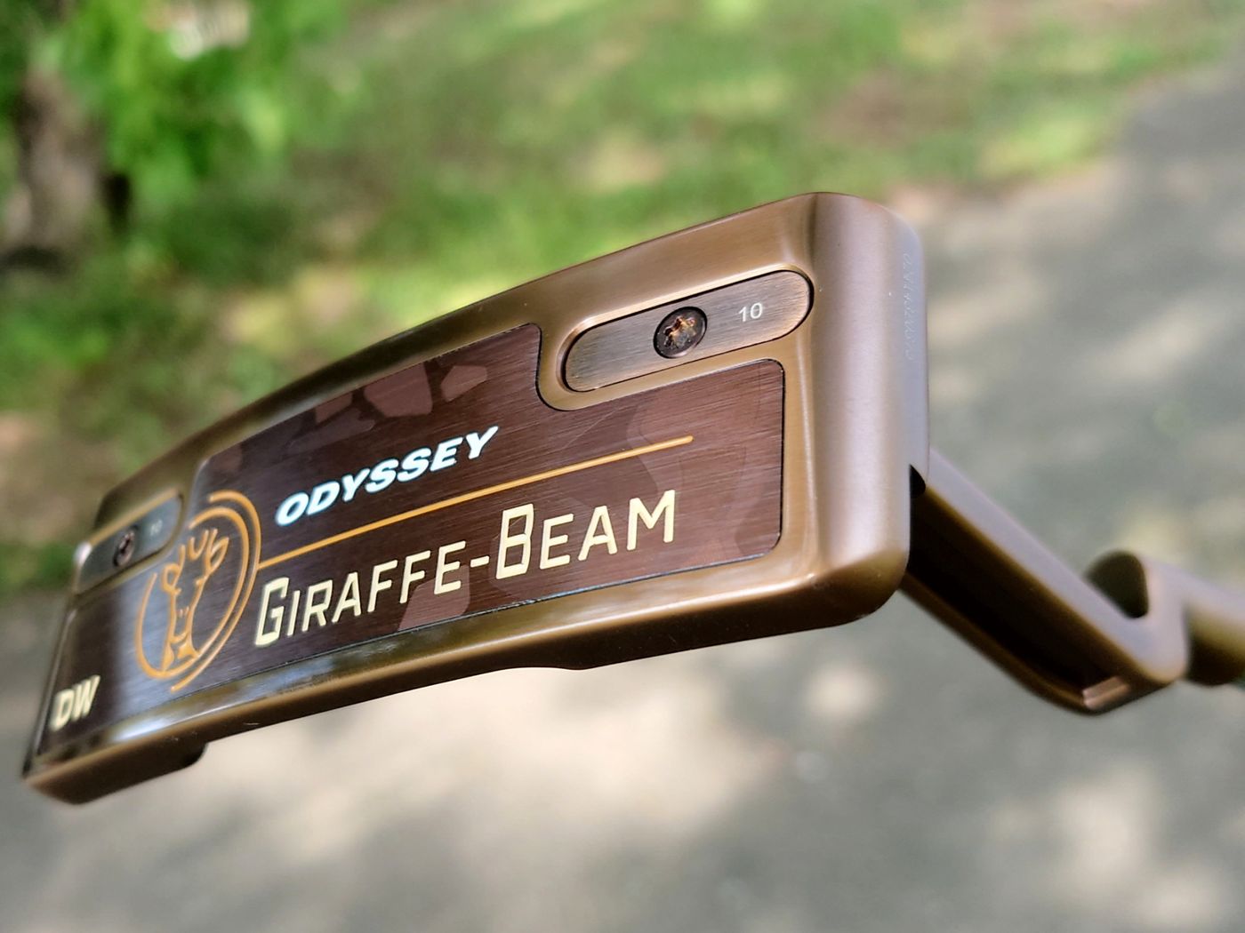 企画モノなんかじゃない！ 『GIRAFFE-BEAM DOUBLE WIDE』は腕前が試されるパター - ゴルフ総合サイト ALBA Net